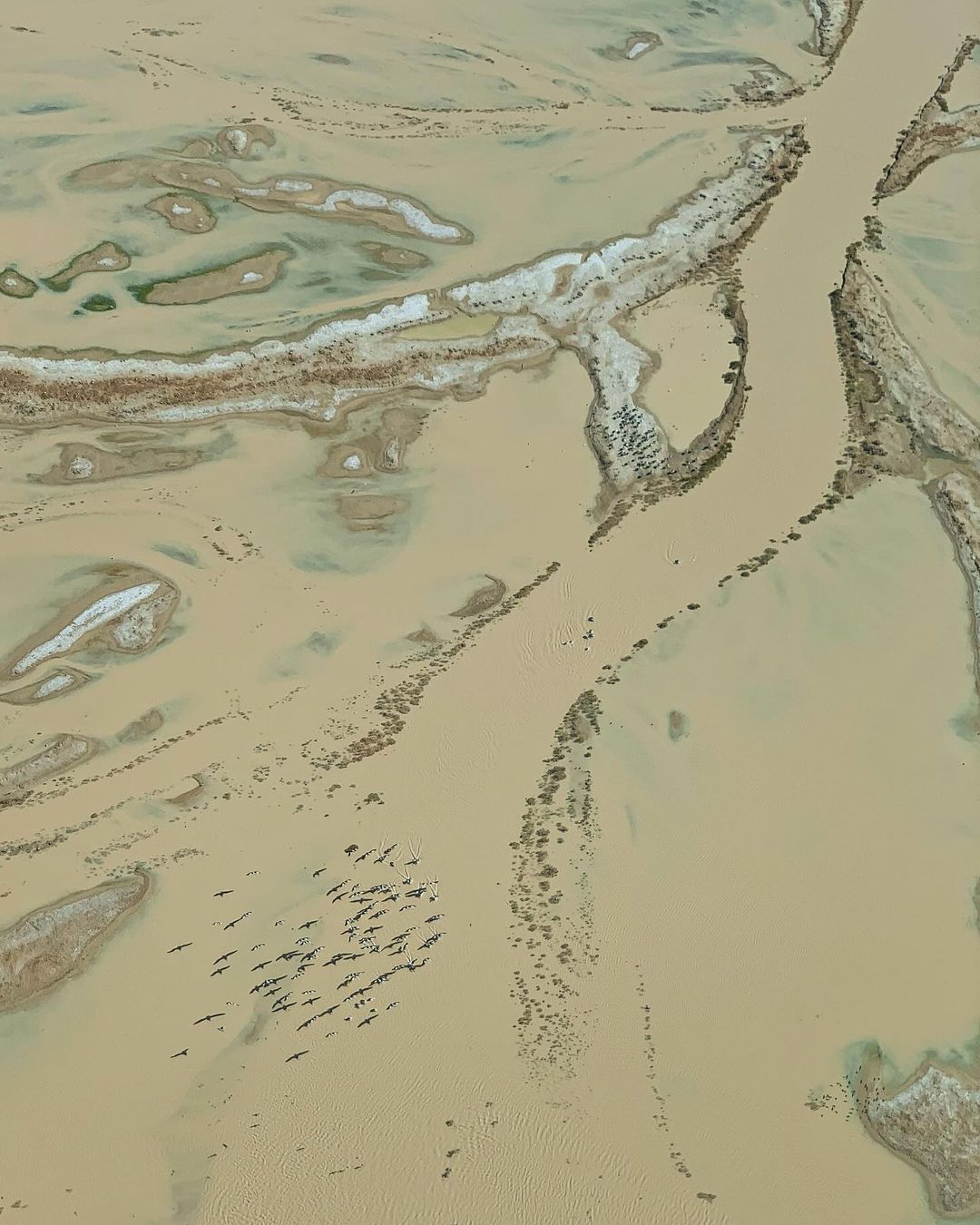 Stunning images capture Kati Thanda-Lake Eyre filling - Zeppelin Travel